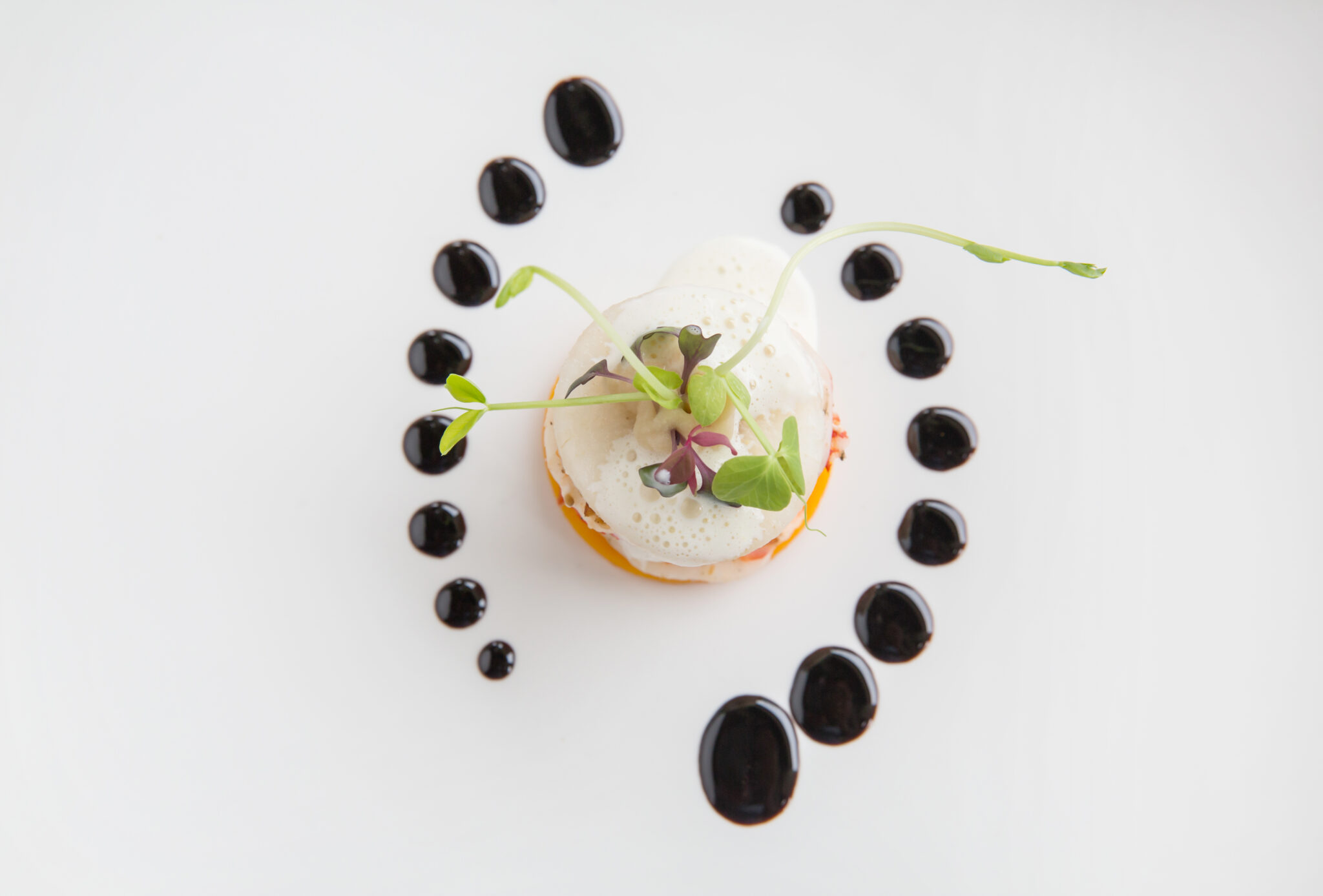 Balsamic Pearls a modern and refined way to taste the Balsamic Vinegar ...